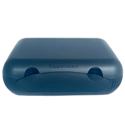 Tupperware To Go Lunch Box Black Dark Red Berry with Separation Bread ...