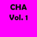 【発売日：2026年08月31日】・製造元:13554920 Records DK