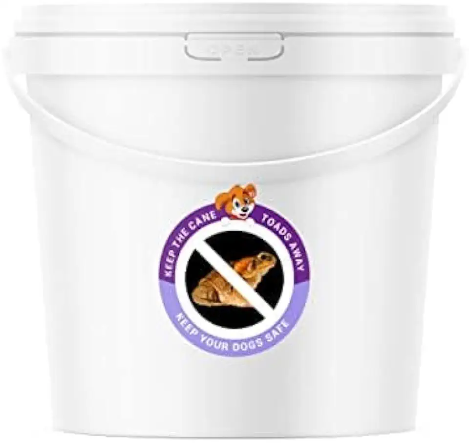 How To Safeguard Your Yard From Invasive Bufo Toads | PetShun