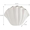Amazon.com: Seashell Vase, Shell Shaped Vases for Living Room Decor ...