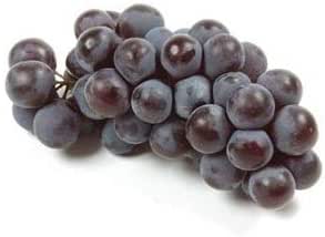 Raisin noir BIO - La barquette de 500g : Amazon.fr: Epicerie