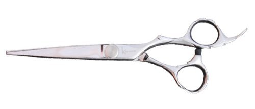 Amazon.com : Kenchii Lux 5.75 inch Professional Hair Cutting Scissors ...