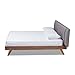 Amazon.com: Baxton Studio Brita Queen Size Grey Upholstered Walnut ...