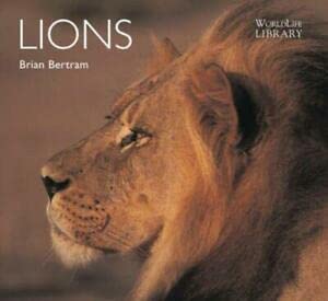 Lions: Brian Bertram: 9781841072920: Amazon.com: Books