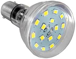 Amazon.com: Cabin Bright 1383 LEDSP-55 Spotlight Bulb (1383 LED 12 volt ...