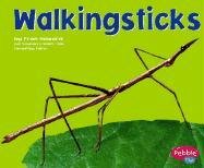 Walkingsticks (Pebble Plus): Howard, Fran, Saunders-Smith, Gail ...