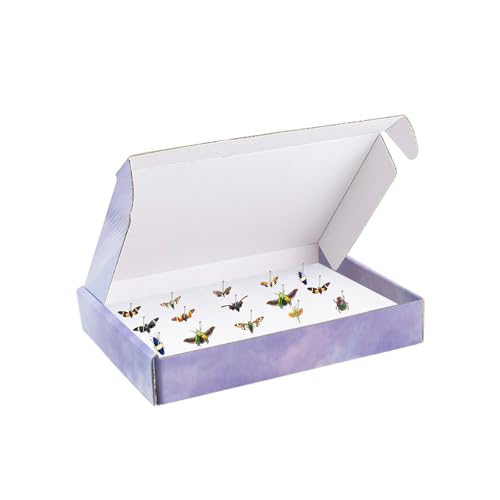 Best Science Education Insect Kits for Curious Young Entomologists ...