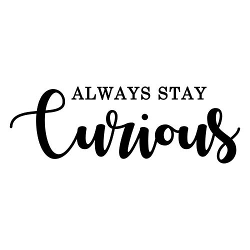 Amazon.com: Vinyl Wall Art Decal - Always Stay Curious - 10” x 30 ...