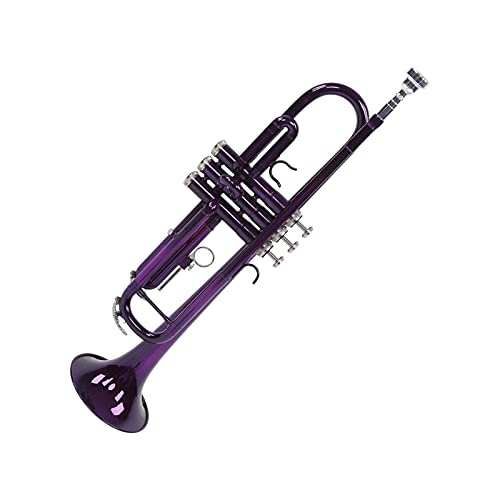 Purple Trumpet – The 16 best products compared - www.djgblogger.com