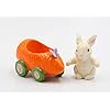 Amazon.com: Fine Ceramic Bunny Rabbit on Carrot Cart Salt & Pepper ...