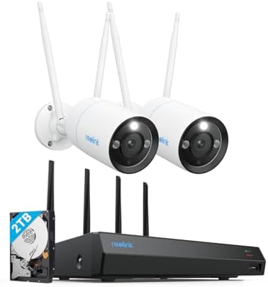 Amazon.com : REOLINK WiFi 6 Cameras with WiFi NVR Bundle, 2 pcs 810WA ...