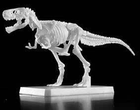 Amazon.co.jp: Planosaurus T-Rex Painting Ver. Plastic Model : Toys & Games