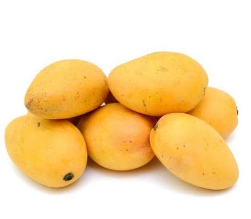 Garden Fields Laxman Bhog Mango Plant-Grafted Variant : Amazon.in ...