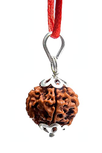Buy RUDRA BLESSING CENTER Original 5 Mukhi Rudraksha Pendant Lab ...