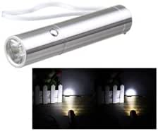 Amazon.com: Stainless Steel LED 3Mode Modern Flashlight : Electronics