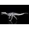 Amazon.com: WLNTDOLA 1:35 Scale Megaraptor Model Carnivorous Dinosaurs ...