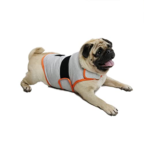 Thunderous Calm: Top 10 Best Thunder Jackets for Anxious Pets - Review ...