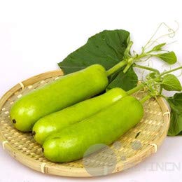 Creative Farmer Vegetable Seeds Sorekai/Chorakkai Seeds - Bottle Gourd ...