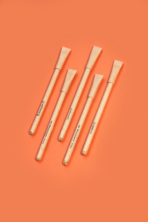 Plantable Paper Pen | Eco Friendly, Sustainable Set of 5 : Amazon.in ...