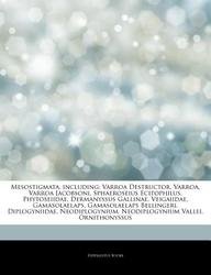 Amazon | Articles on Mesostigmata, Including: Varroa Destructor, Varroa ...