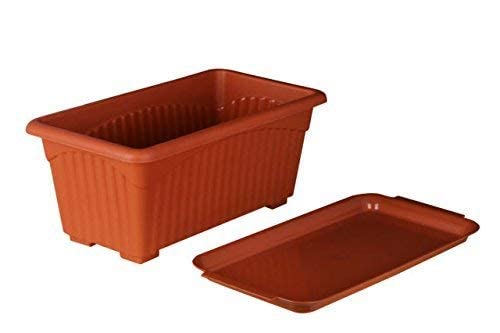 Royal 2 Rectangle Pots and Trays-Terracotta Color Planter(Pack of2 ...