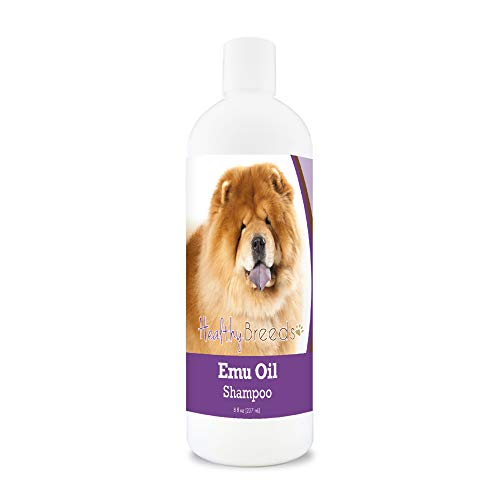 10 Best Dog Shampoo For Chow Chow
