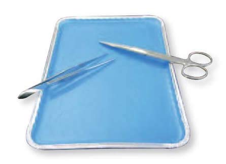 Dissection Tray