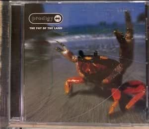 Amazon.co.jp: Fat of the Land: ミュージック