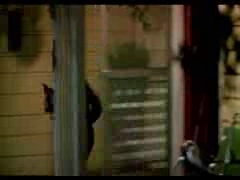 Watch The Entity Trailer on Amazon Live