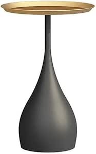 Amazon.com: LITFAD Small Round Table 16 inch Wide End Table Metal ...