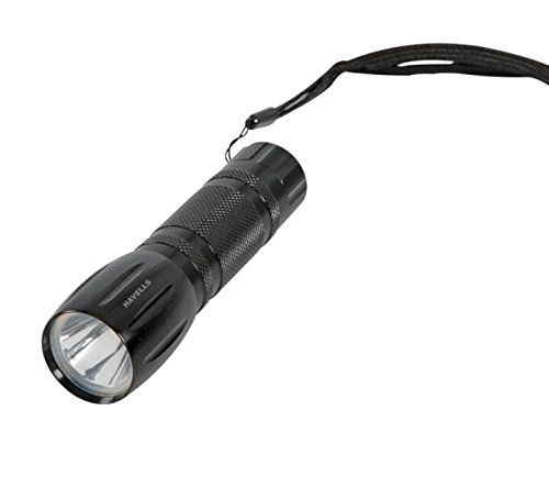 Havells Torch Pathfinder Neo Set Of 2 : Amazon.in: Sports, Fitness ...