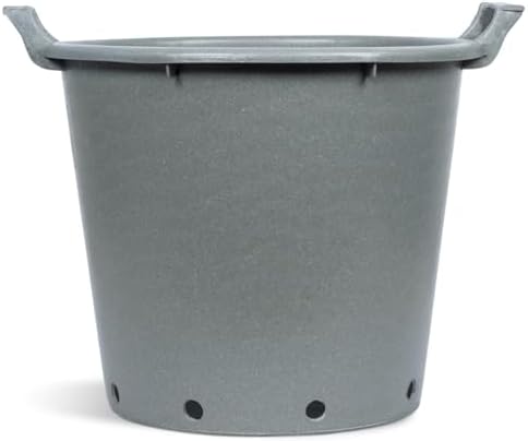 LBS Horticulture Heavy Duty Tree Container Pot 50ltr : Amazon.co.uk: Garden