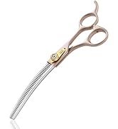 Amazon.com : JASON 6" Texturizing Hair Scissors, 23 Teeth Hair Texture ...