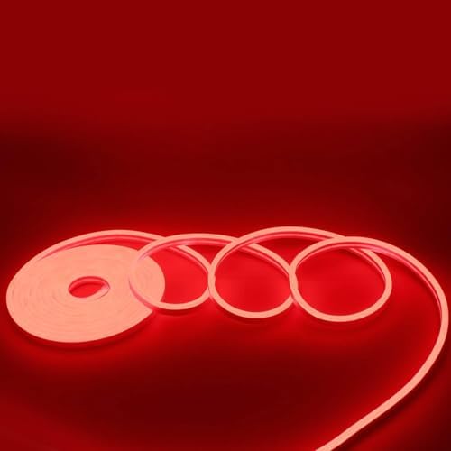 Buy Eurotex LED Neon Strip Rope Lights, 12V Adaptor, Flat Silicone Neon ...