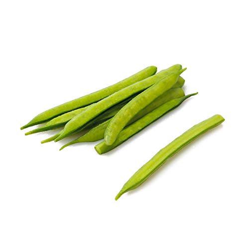 Creative Farmer Vegetable Seeds Guar Bean Seeds - Guar Bean Seeds ...