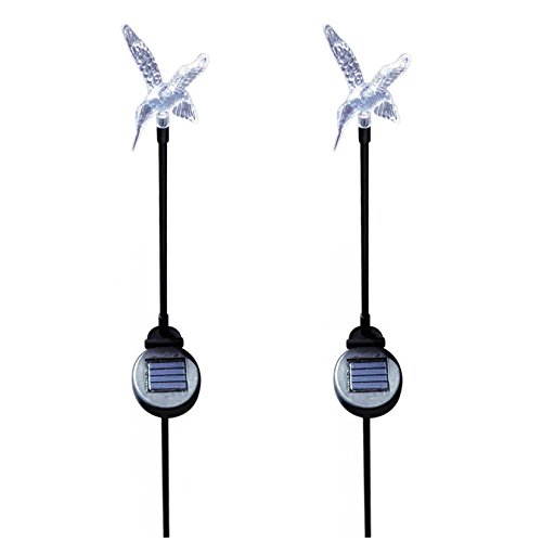 Find The Best Hummingbird Solar Lights Outdoor Reviews & Comparison ...