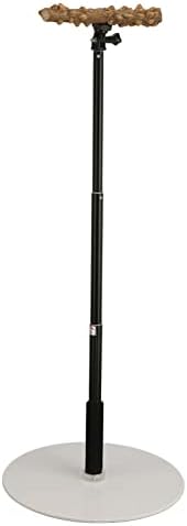 Bird Perch African Grey Parrot Stands, Bird Ladder Wood Perch Stand for ...