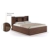 Urban Ladder Sandon King Size Engineered Wood Bed with Storage (Walnut ...