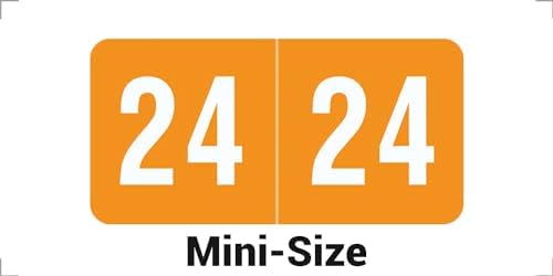 Amazon.com : 2024 Year Stickers, Doctor Stuff, Red Color Coded, STS/SFI ...