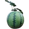 Amazon.com: FONDOTIN Simulation Watermelon Model Display Prop ...