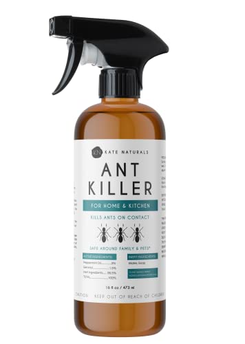 Top 10 Best Ant Killer Spray Indoor : Reviews & Buying Guide - Katynel