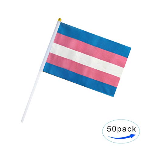Buy LoveVC 50 Pack Small Mini Transgender Trans Pride Flag LGBT Rainbow ...