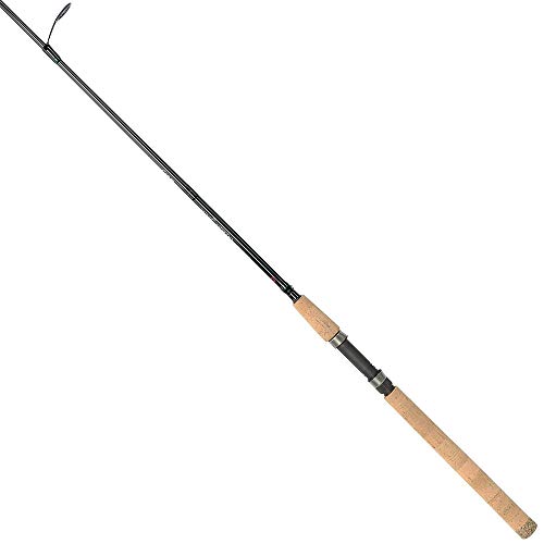 Best Inshore Spinning Rods Reviewed For 2023
