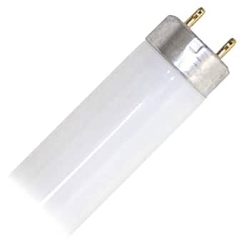 Eiko F15T8/D Daylight 6500K T-8 G13 Base Halogen Bulb, 15W : Amazon.in ...