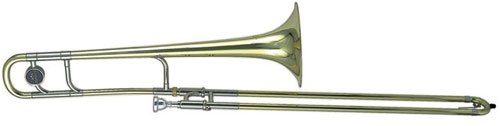 Roy Benson Trombone Kit : Amazon.in: Musical Instruments