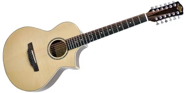 Amazon | PLAYTECH (プレイテック) 12弦アコースティックギター ミニジャンボタイプ カッタウェイタイプ | アコースティックギターセット | 楽器・音響機器