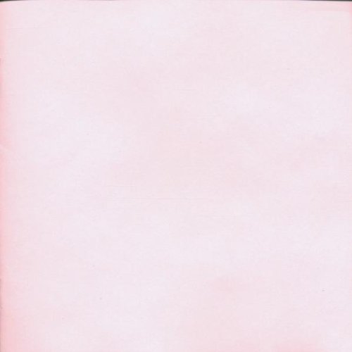 Scumtron : Merzbow: Amazon.fr: CD et Vinyles}