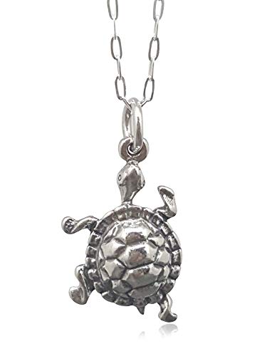 Amazon.com: Sterling Silver Box Turtle 3D Charm Necklace, 18 ...