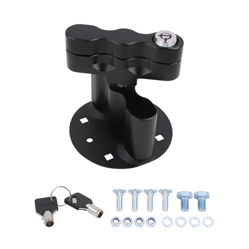 Amazon Best Sellers: Best Antitheft Locking Devices