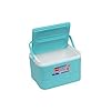 Buy Cello Chiller Ice Box | Standard Size for Travel Party Bar Ice ...
